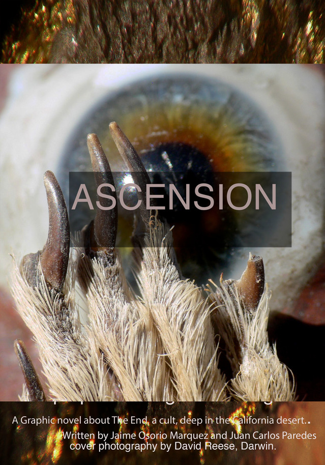 Ascension Cult by Lilith Stone [Leanpub PDF/iPad/Kindle]