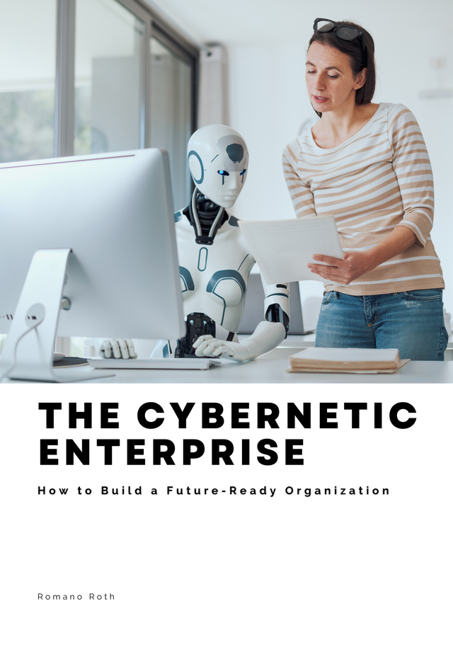Cybernetic Enterprise by Romano Roth [Leanpub PDF/iPad/Kindle]