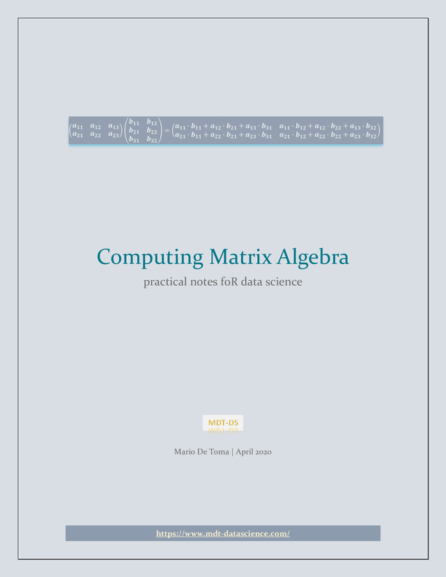 Computing Matrix… by Mario De Toma [Leanpub PDF/iPad/Kindle]