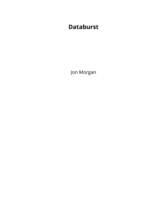 Databurst by Jon Morgan [Leanpub PDF/iPad/Kindle]