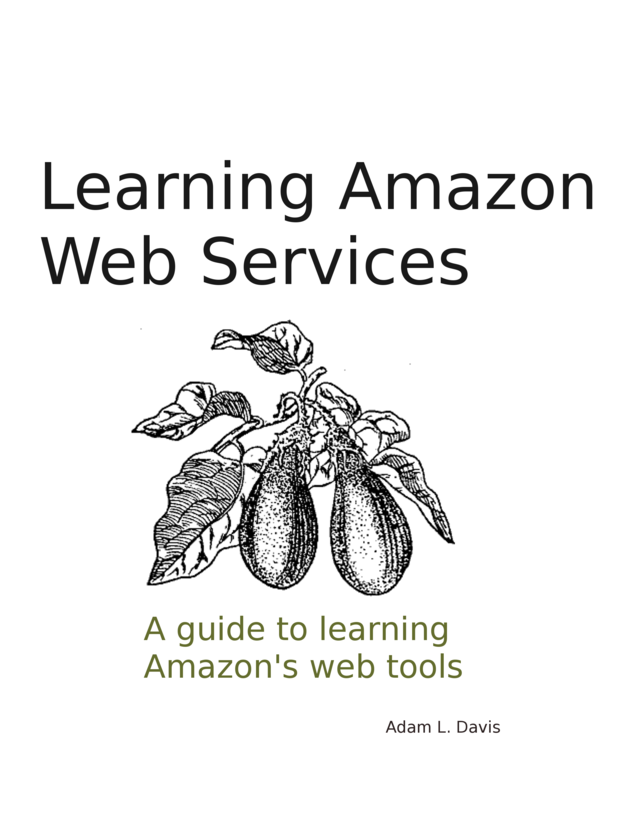 Learning Amazon Web… by Adam L. Davis [Leanpub PDF/iPad/Kindle]