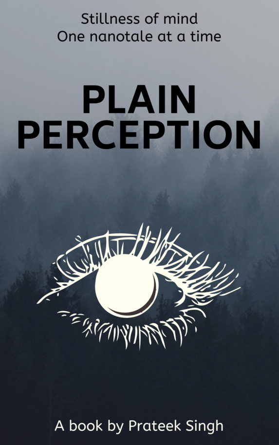 Plain Perception by Prateek Singh [Leanpub PDF/iPad/Kindle]