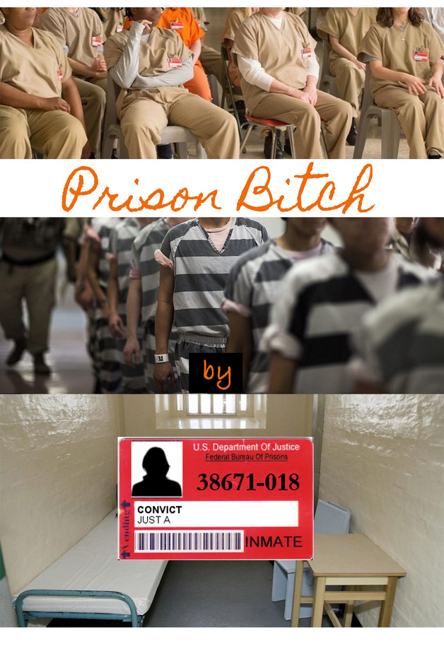 Prison Bitch by 38671-018 [Leanpub PDF/iPad/Kindle]