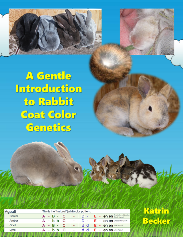 A Gentle Introduction to Rabbit Coat Color… [PDF/iPad/Kindle]