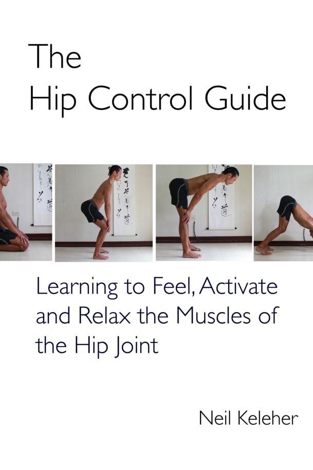 The Hip Control Guide by Neil Keleher [Leanpub PDF/iPad/Kindle]