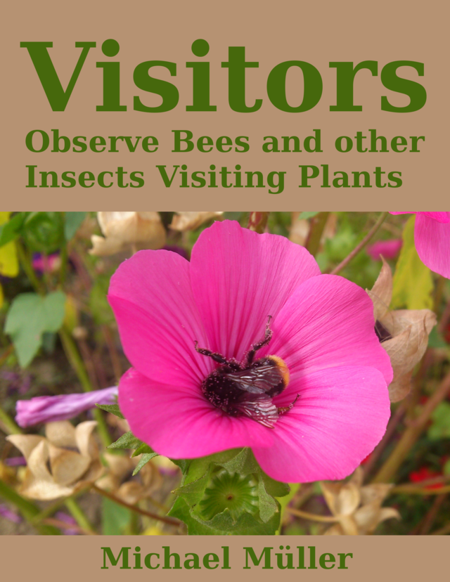 Visitors by Michael Müller [Leanpub PDF/iPad/Kindle]